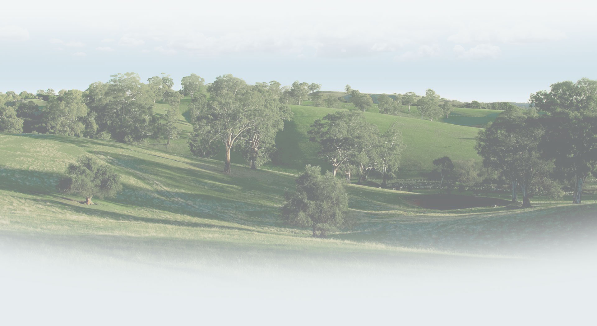 background – The John Hampden Society